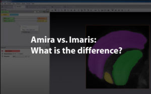 Amira vs. Imaris: What is the Difference? - 3DBiology.com