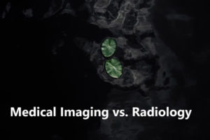 Medical Imaging vs. Radiology: What's the Difference? - 3DBiology.com