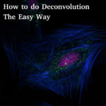 How to do Deconvolution in ImageJ: The Easy Way - 3DBiology.com