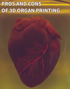 Pros And Cons Of 3D Organ Printing - 3DBiology.com
