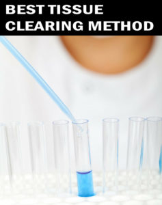 What Is the Best Tissue Clearing Method? Commercial and DYI Options ...