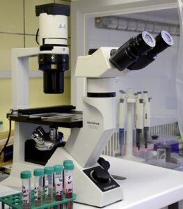 Do Microscopes Invert Images? Why Does it Happen? - 3DBiology.com