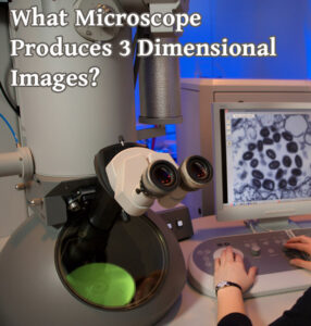What Type of Microscope Produces 3 Dimensional Images? - 3DBiology.com