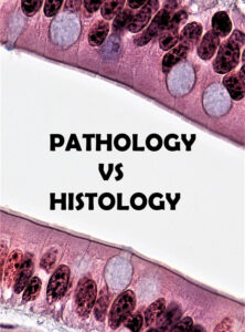 Pathology vs Histology: Differences and Similarities - 3DBiology.com