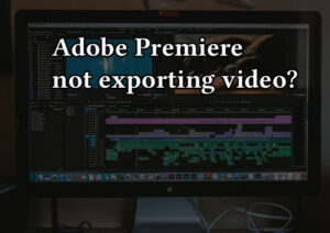 Why is Adobe Premiere Pro not exporting video? - 3DBiology.com