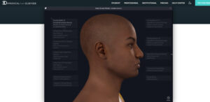 What are the Best Websites to Learn Human Anatomy? - 3DBiology.com