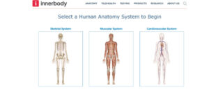 What are the Best Websites to Learn Human Anatomy? - 3DBiology.com