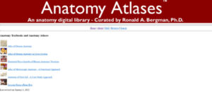What are the Best Websites to Learn Human Anatomy? - 3DBiology.com
