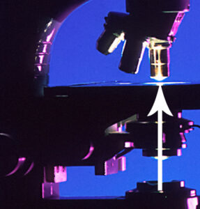 Understanding and Adjusting Your Microscope Diaphragm - 3DBiology.com